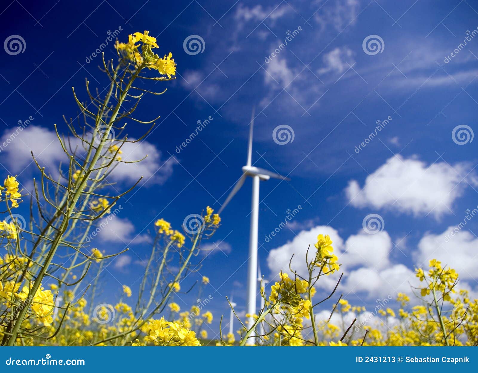 Wind Turbine, Yellow Field. Stock Image - Image of closeup ...