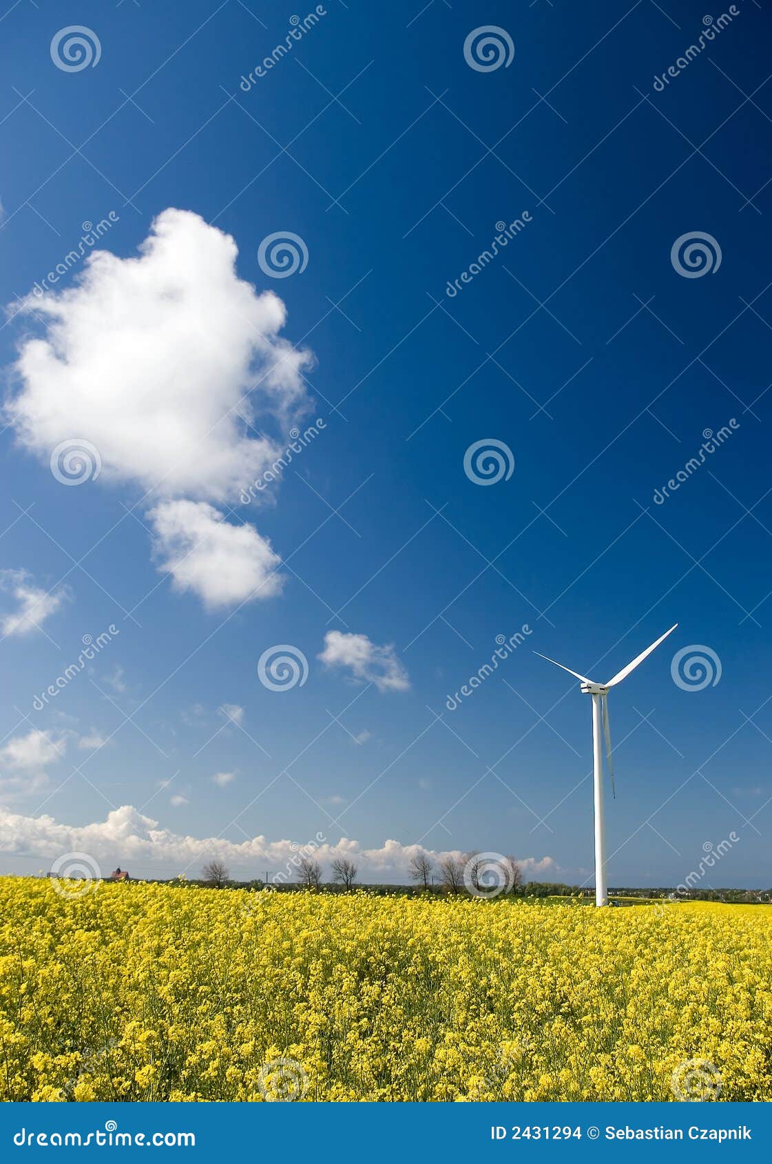 Wind Turbine, Yellow Field. Stock Photo - Image of copy, close: 2431294