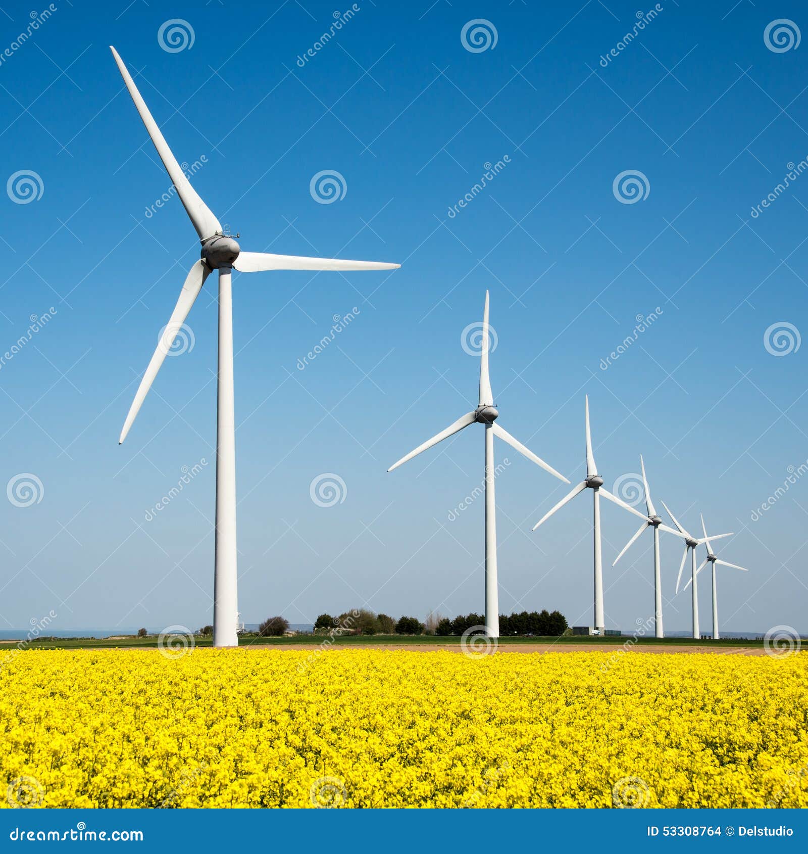 Wind Turbine in a Yellow Field of Rapeseed Stock Photo - Image of green ...