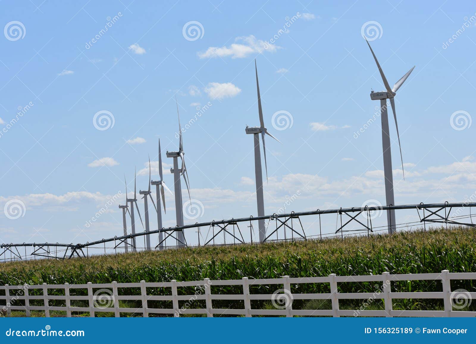 Wind Turbines in Corn Field Stock Image - Image of corn, time: 156325189