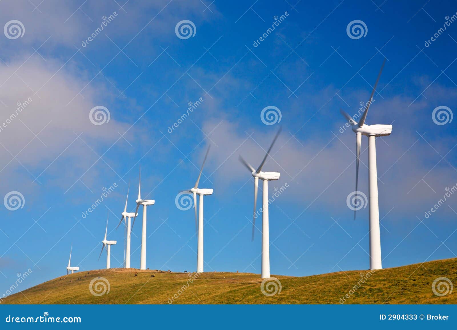 Wind turbines $200 value for money : regattu