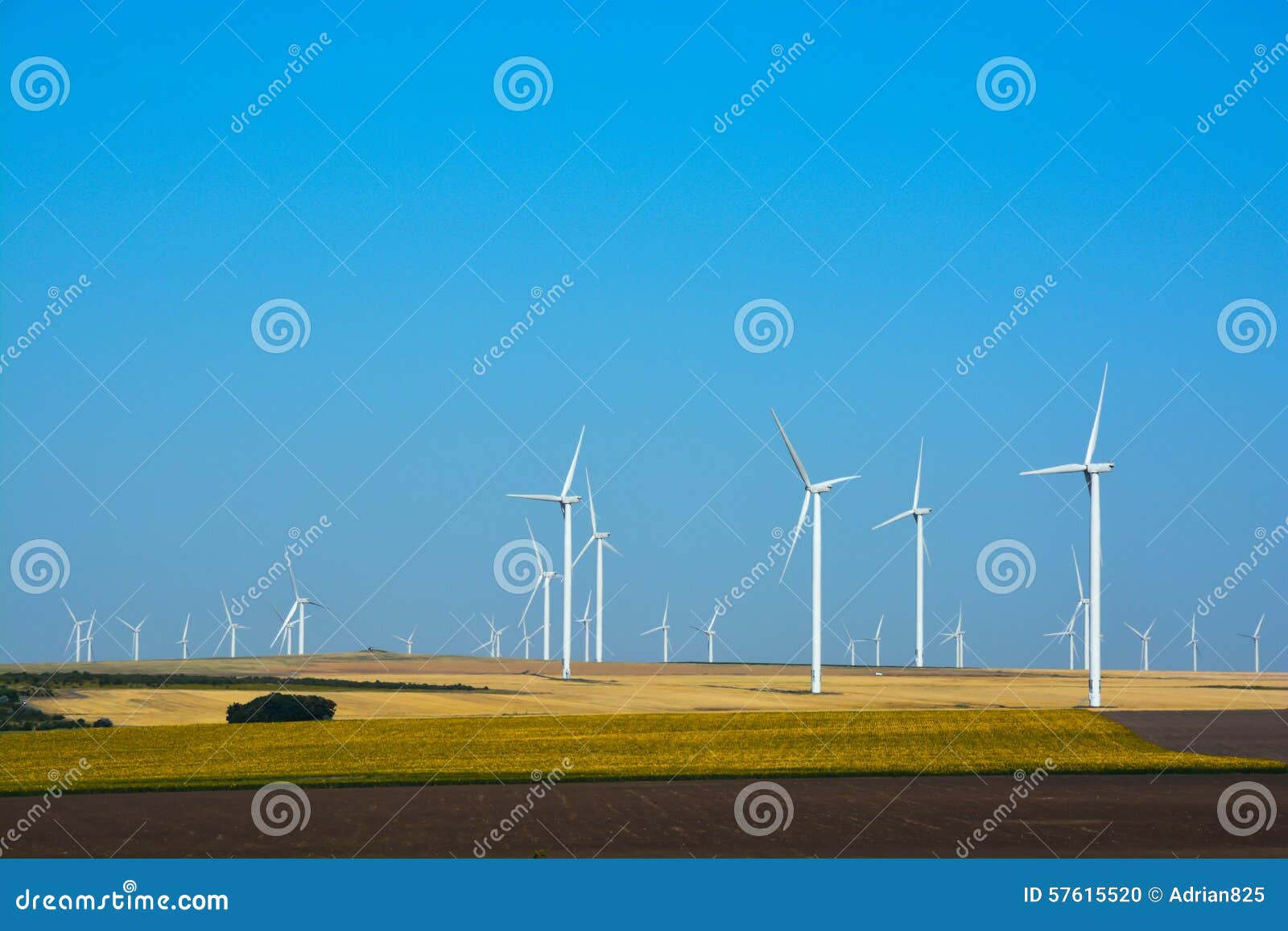 Wind Turbines Farm on a Rural Background Stock Photo - Image of speed ...