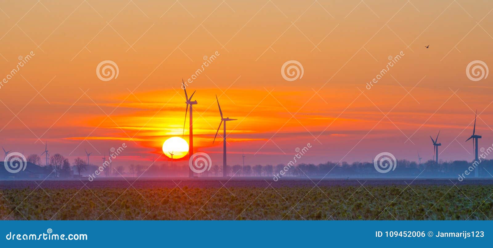 Wind Turbines in a Field at Sunrise Stock Photo - Image of nature ...