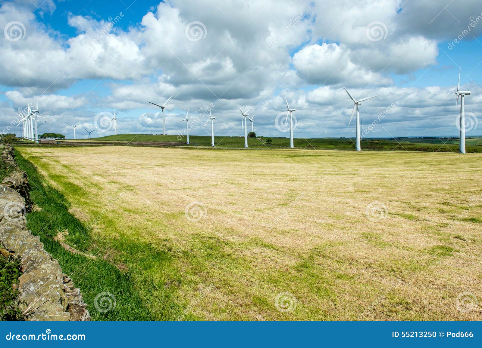 Wind turbines in a field stock photo. Image of prpellor - 55213250