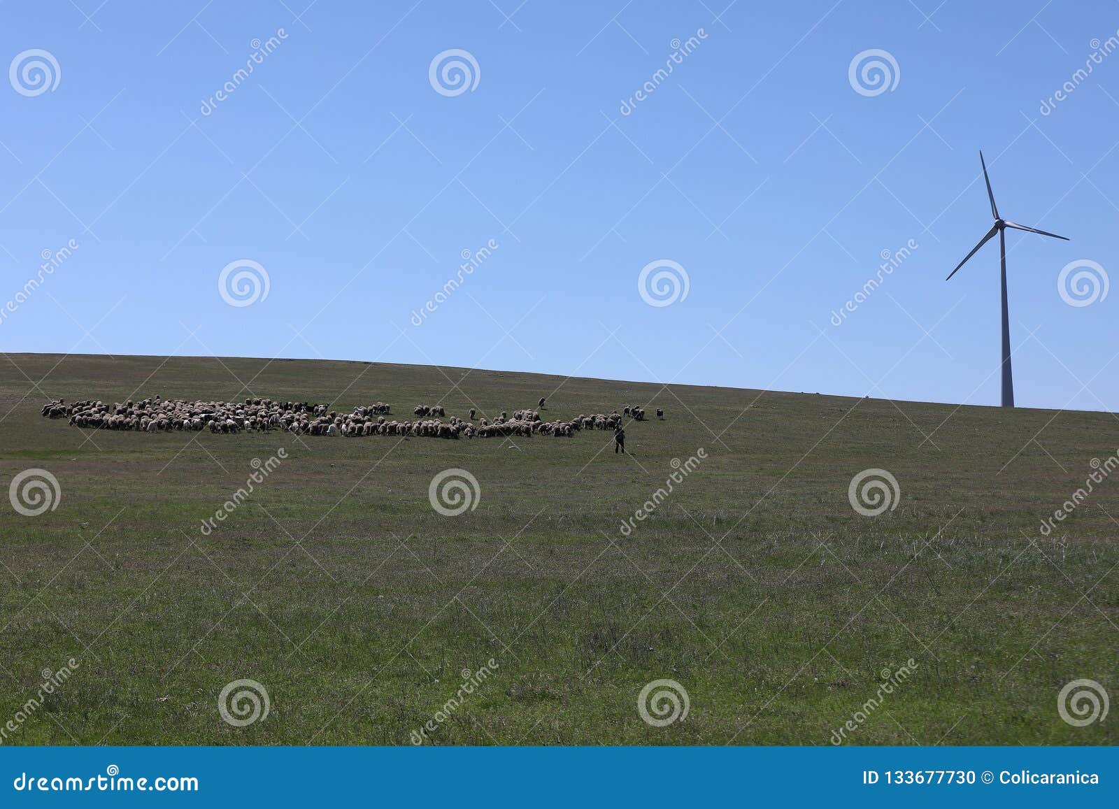 Wind Turbines and Flock of Sheep Stock Photo - Image of skyline, energy ...