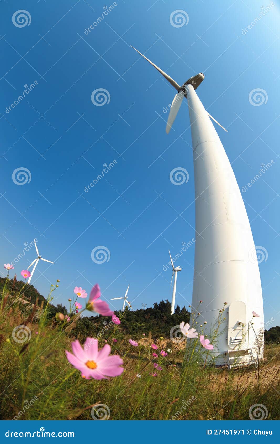 Wind Turbines Generating Electricity and Flower Stock Image - Image of ...