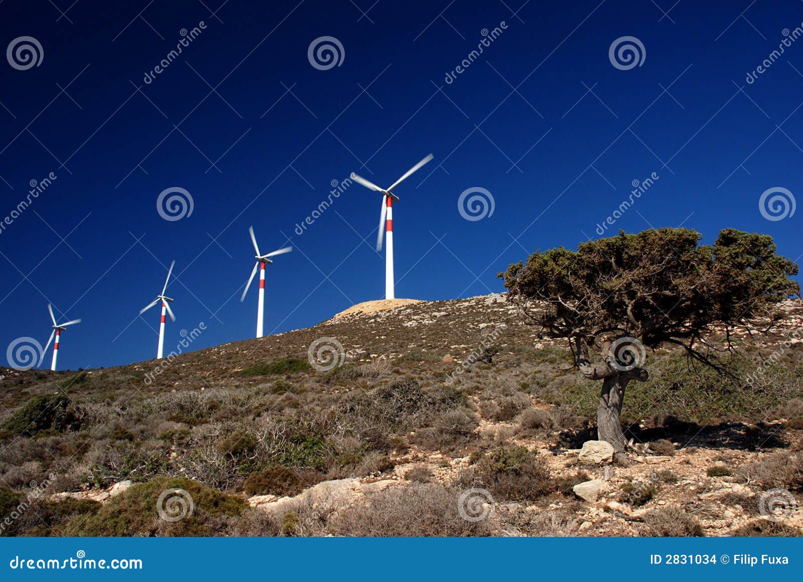 Wind turbines in movement stock photo. Image of mill, power - 2831034
