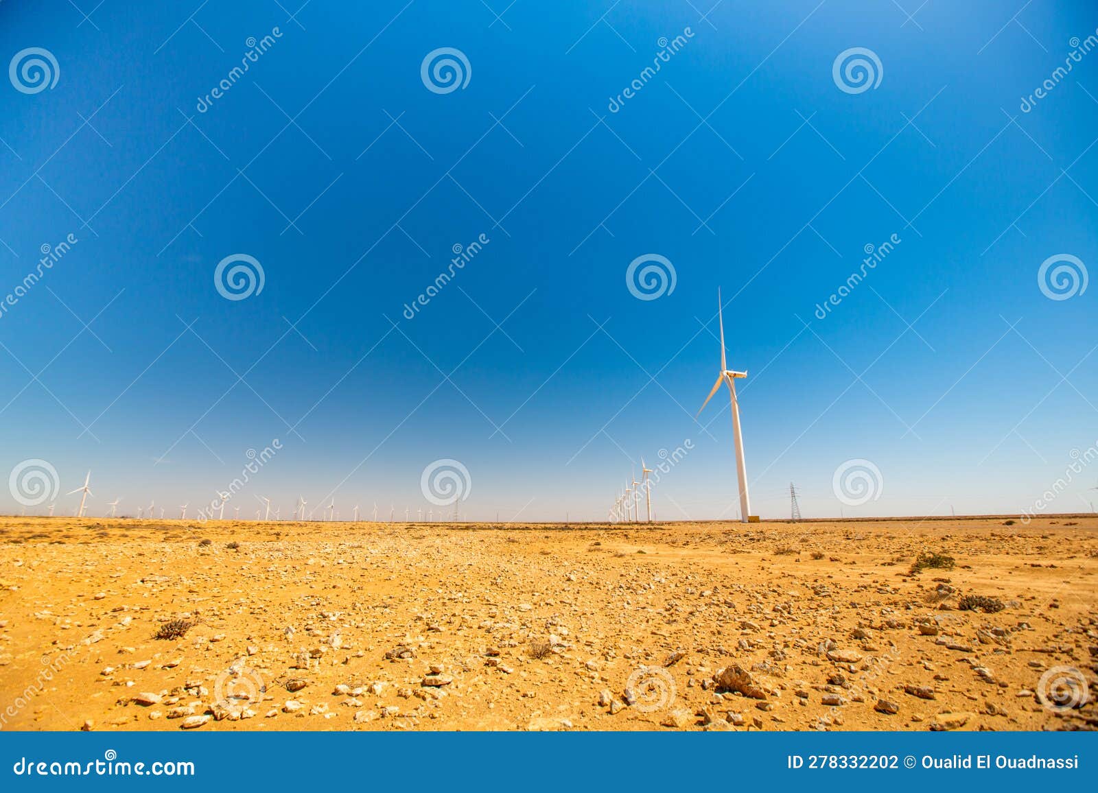 Wind Turbines in the Park of Tarfaya in Morocco Editorial Photography ...