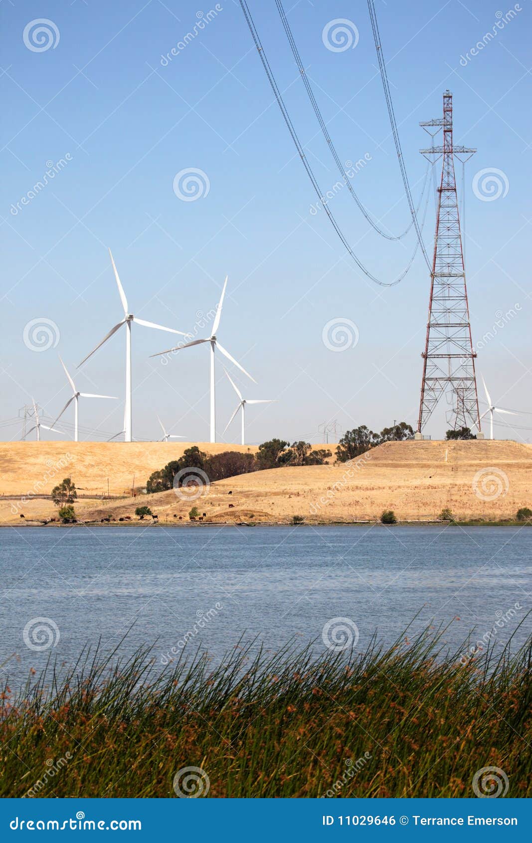 Wind Turbines and Power Lines Stock Photo - Image of towers, renewable ...