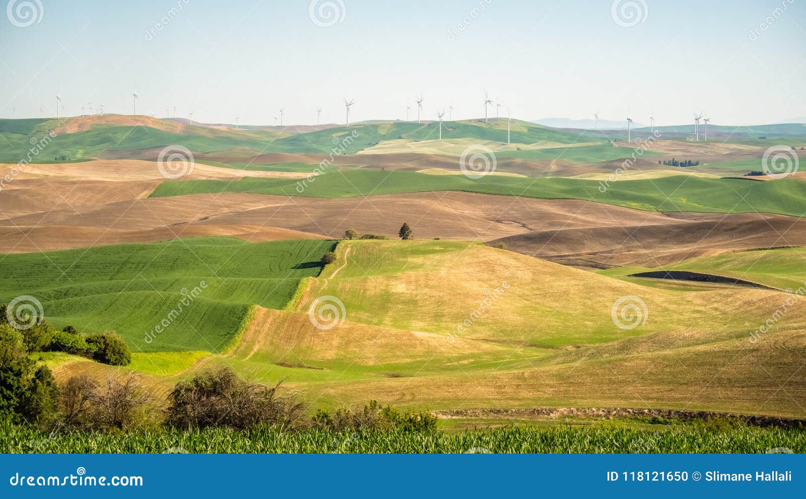 Wind power on the Palouse stock photo. Image of palouse - 118121650
