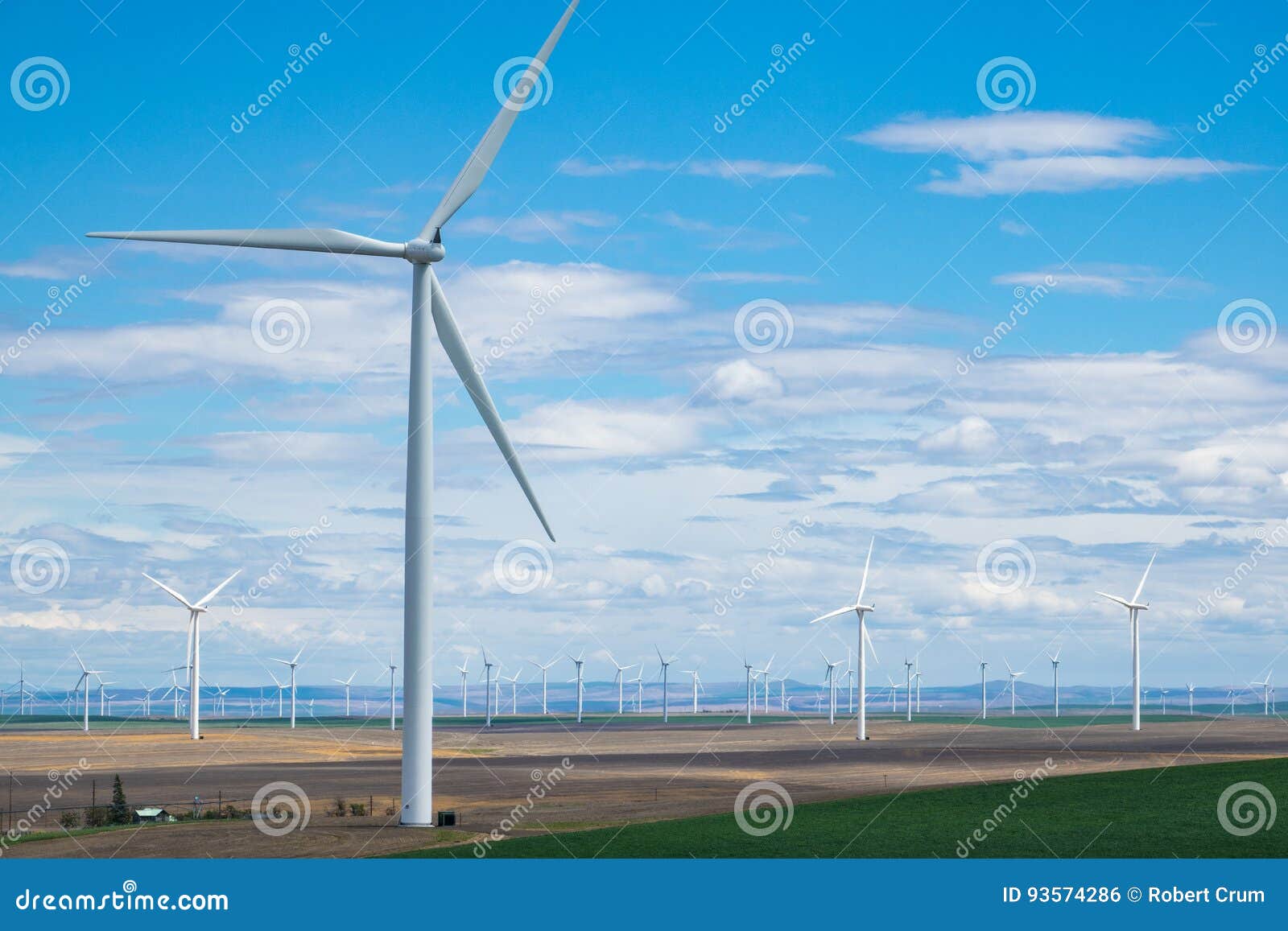 Wind Turbines and Wheat Fields in Eastern Oregon Stock Photo - Image of ...