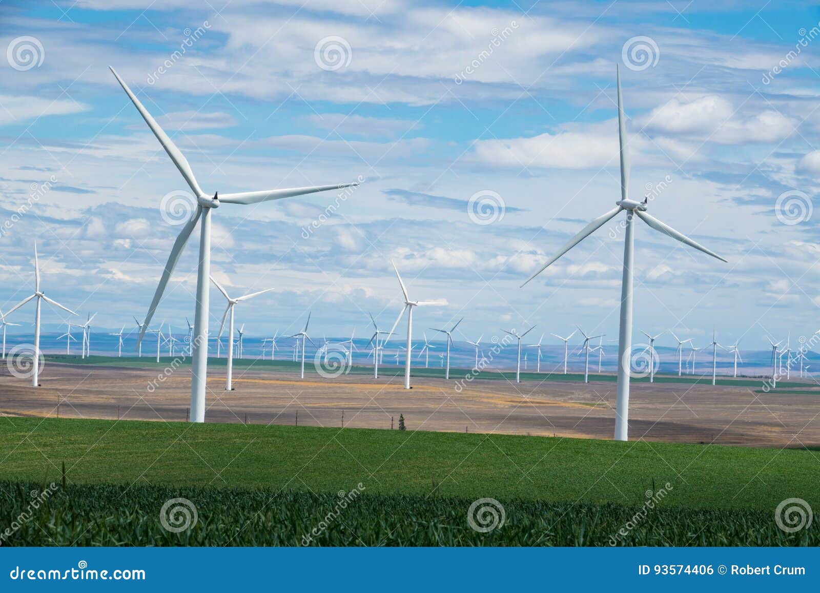Wind Turbines and Wheat Fields in Eastern Oregon Stock Photo - Image of ...
