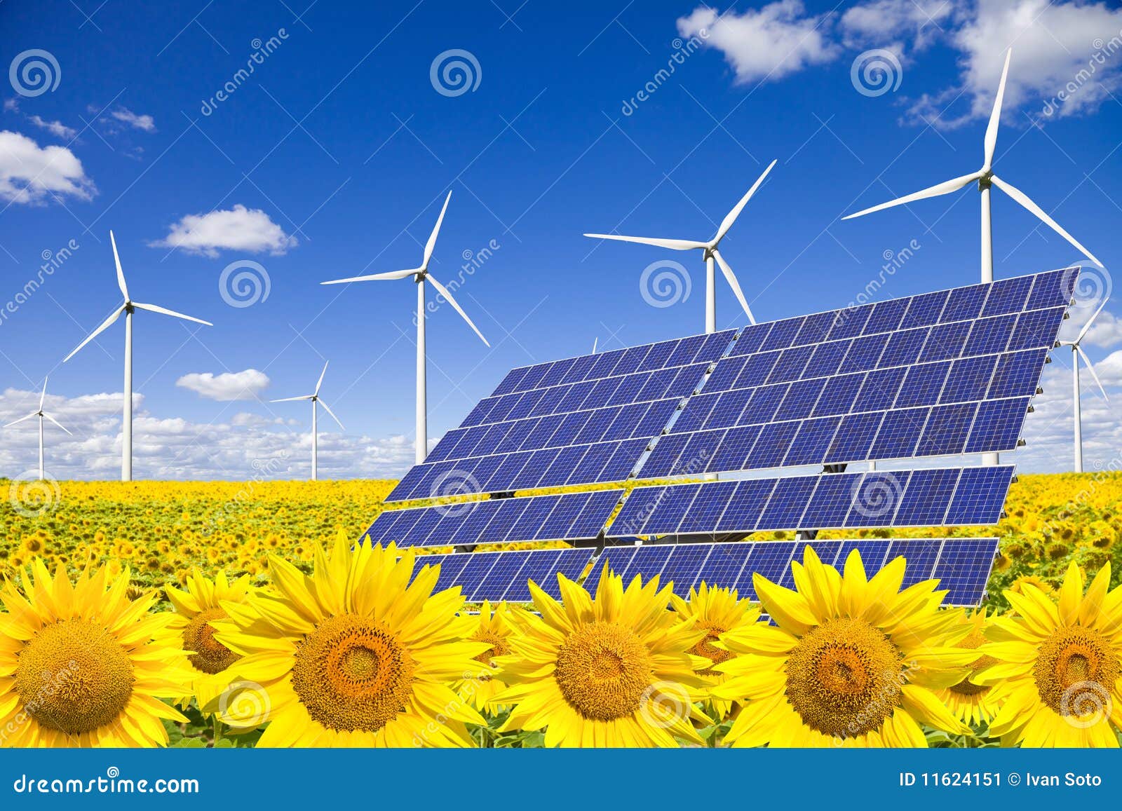 Wind Turbines and Solar Panels on Sunflowers Field Stock Image - Image ...