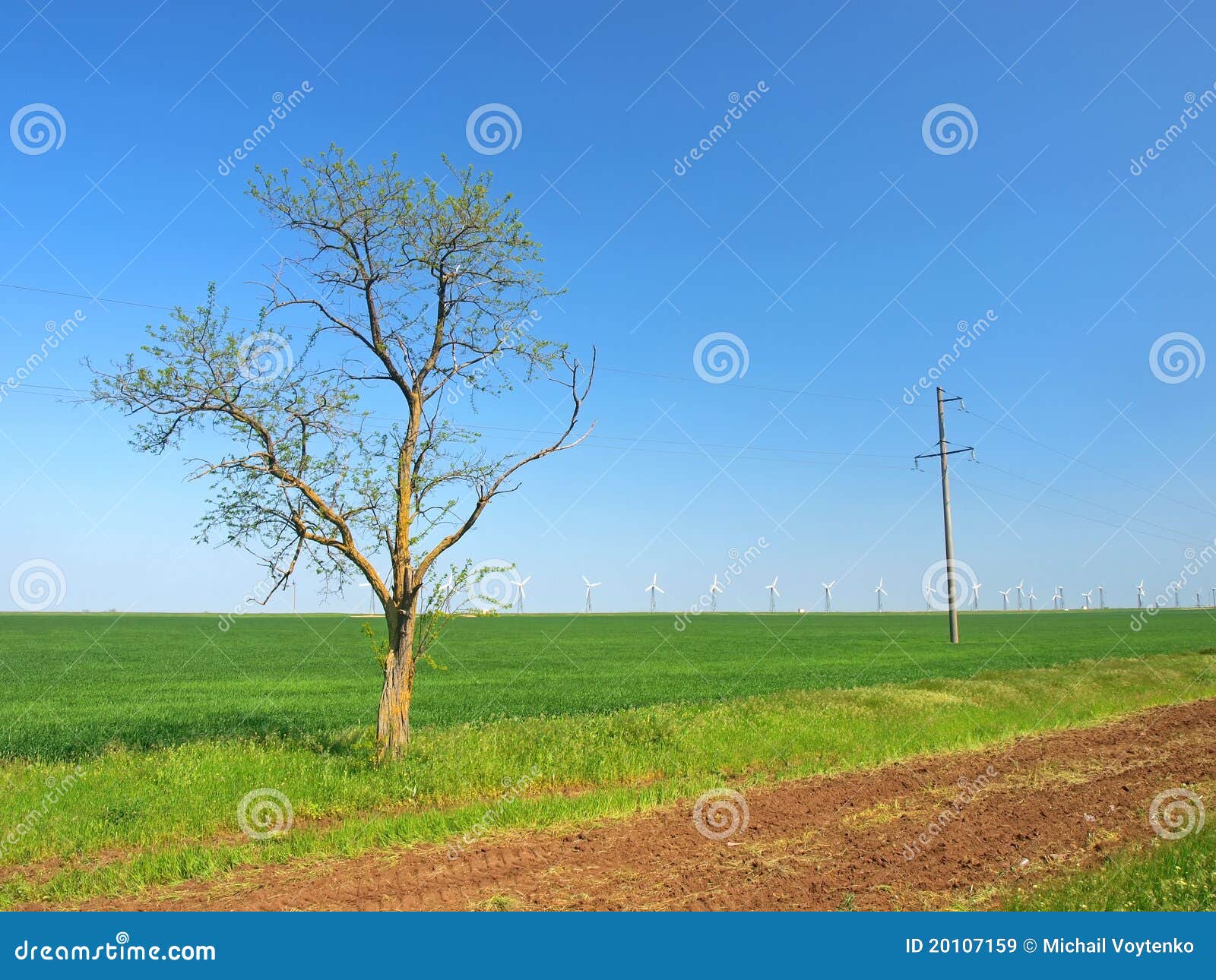 Wind-turbines and a Tree on a Green Field Stock Image - Image of ...