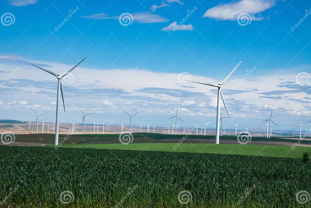 Wind Turbines and Wheat Fields in Eastern Oregon Stock Photo - Image of ...
