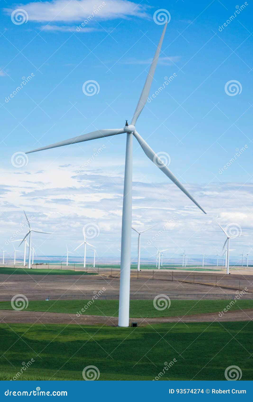 Wind Turbines and Wheat Fields in Eastern Oregon Stock Photo - Image of ...
