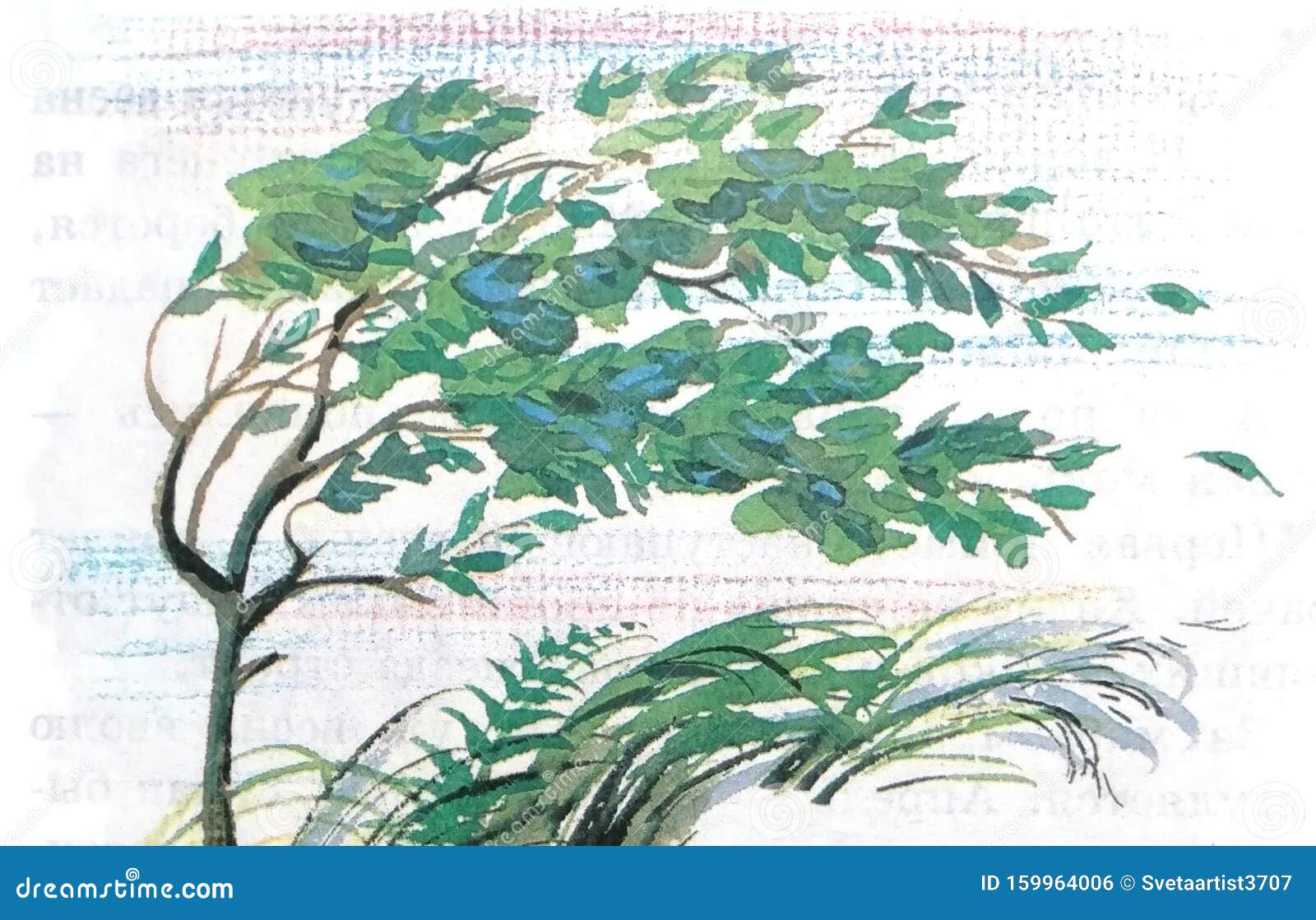 Wind Watercolor foto de stock. Imagem de vento, nave - 159964006