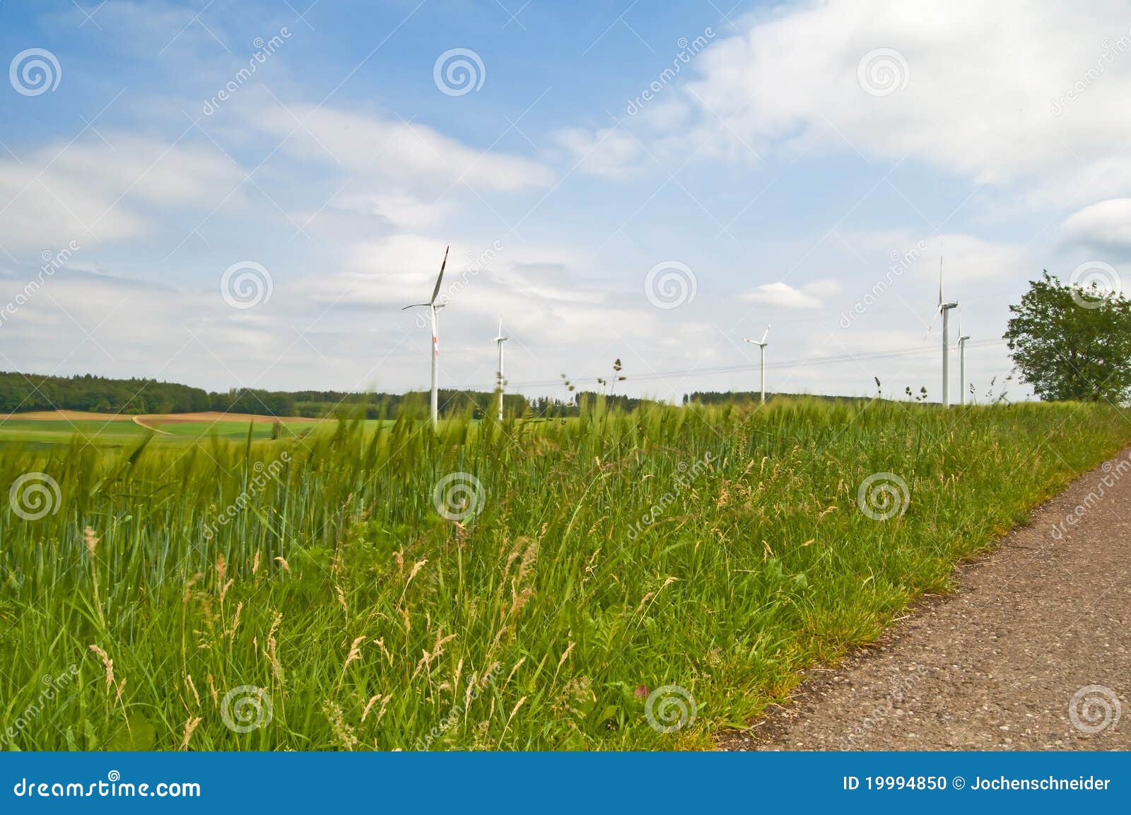 Wind wheel stock photo. Image of plant, blade, electric - 19994850