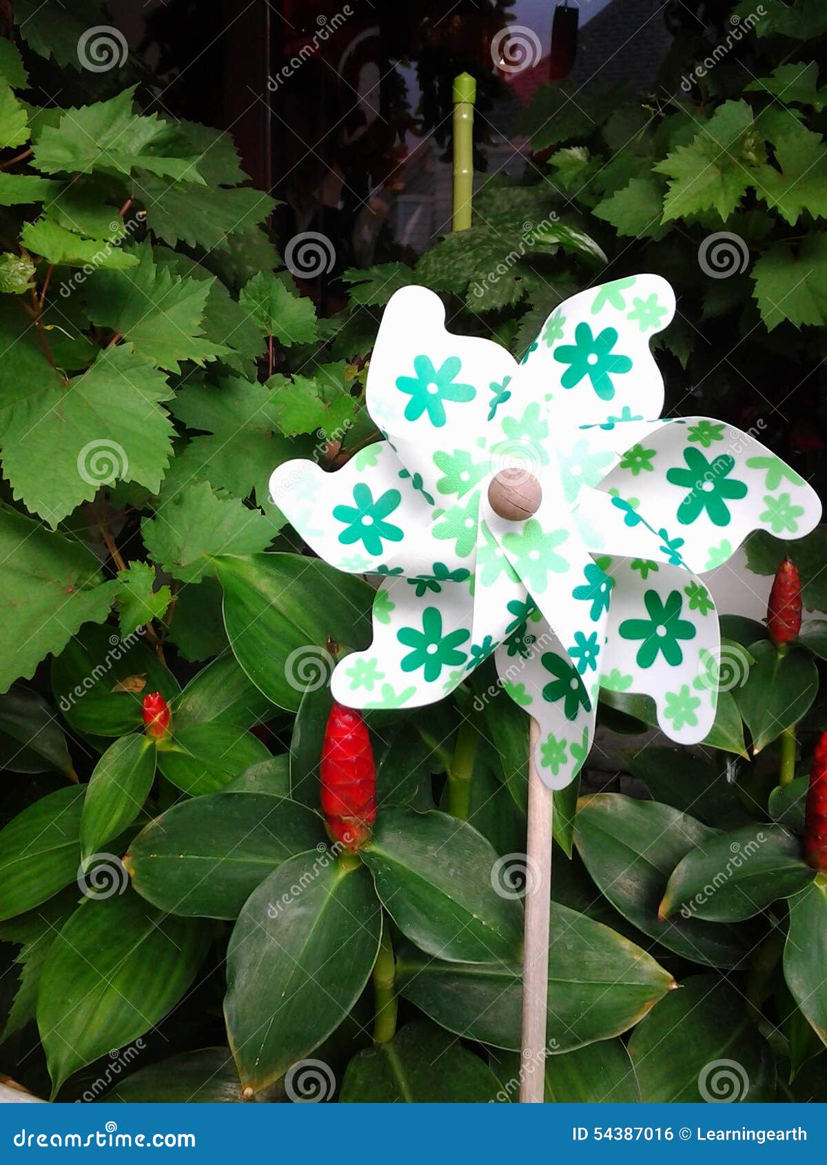 Wind wheel toy stock photo. Image of japan, turbine, power - 54387016