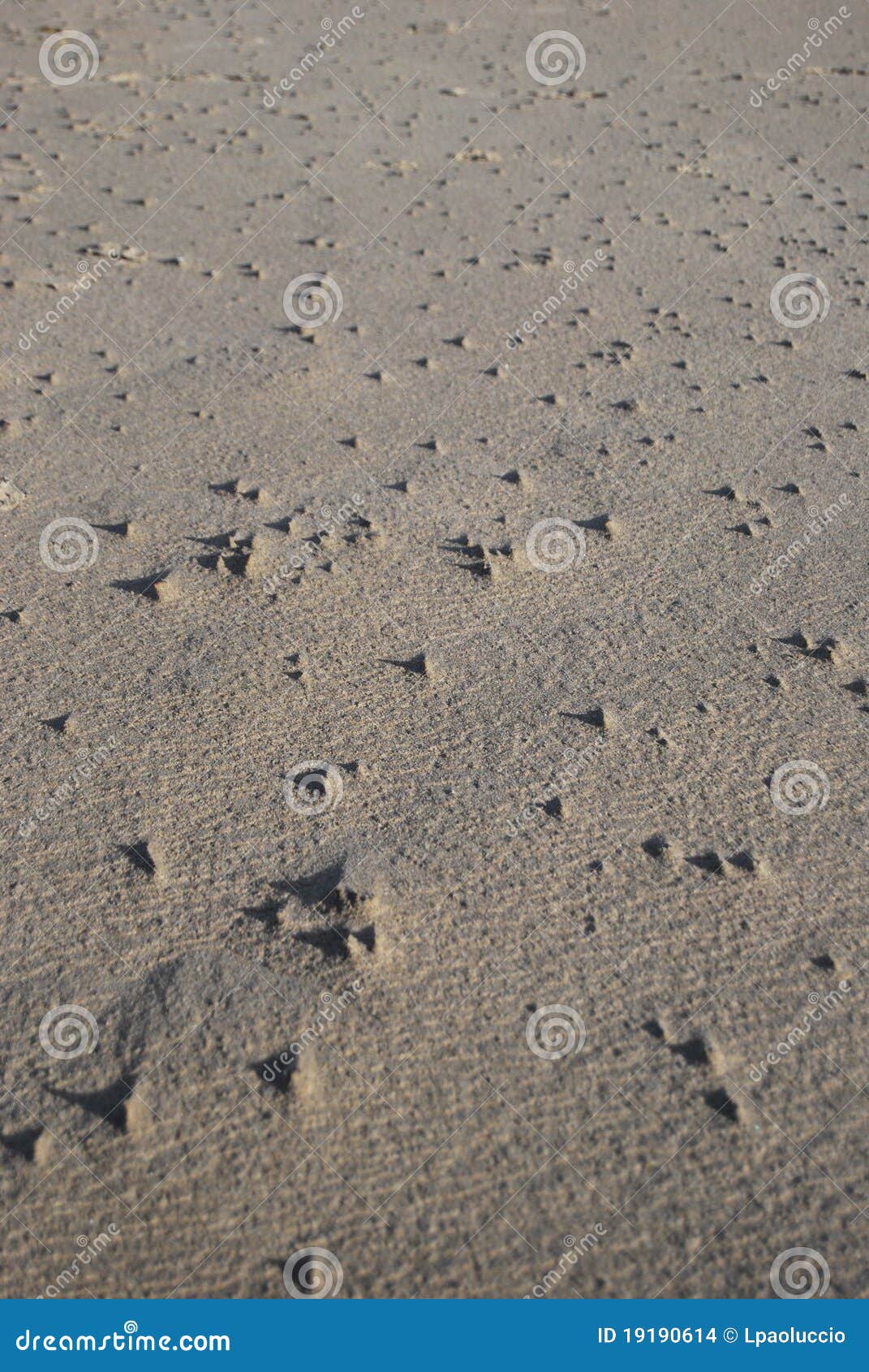 Wind works stock photo. Image of wind, markings, windy - 19190614