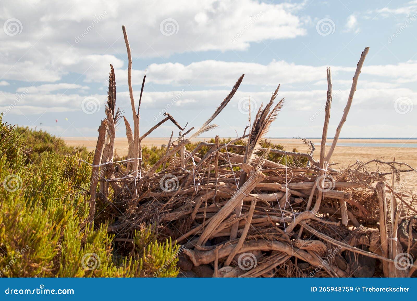 A Windbreak, Built from Natural Materials, on the Beach Stock Image ...