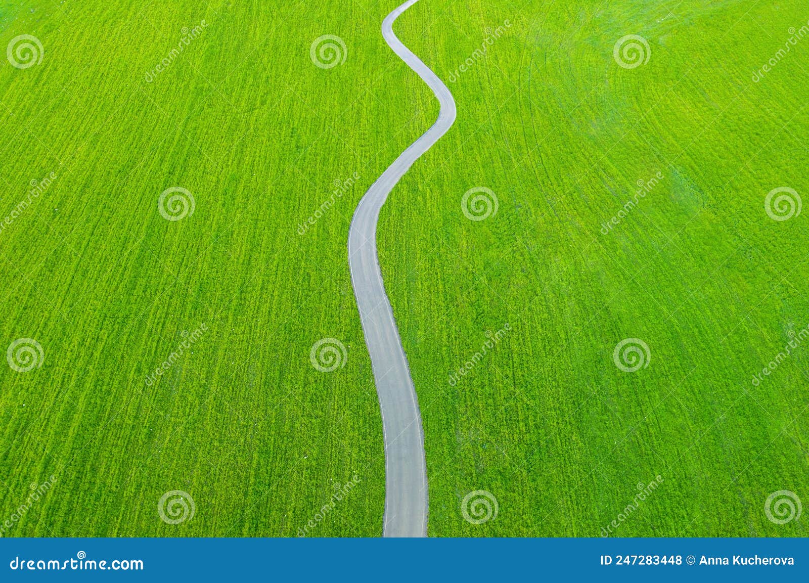 Winding Asphalt Road Over Fields of Green Grass. Aerial Minimalistic ...