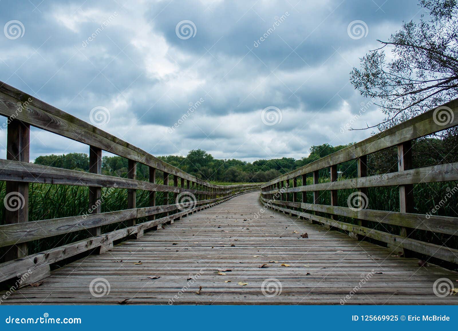 Winding Bridge stock image. Image of winding, perspective - 125669925
