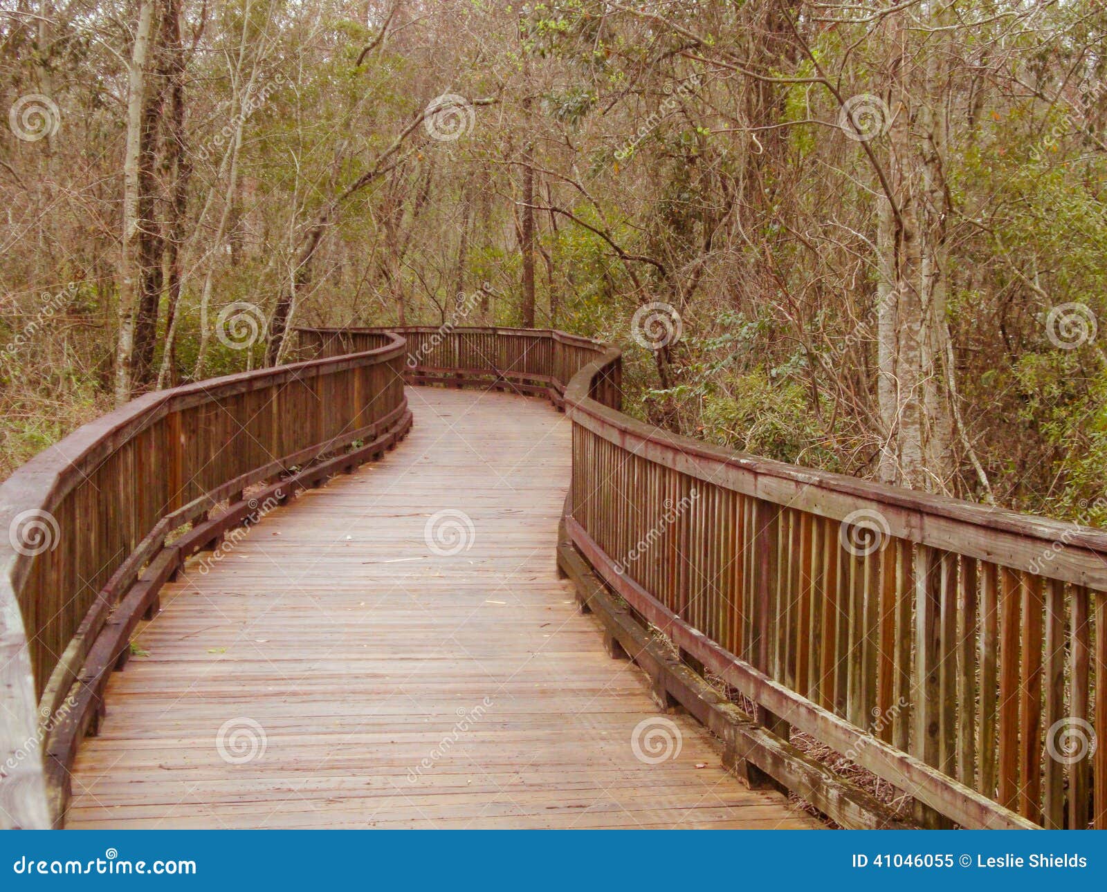 Winding Bridge stock image. Image of nature, path, wooden - 41046055