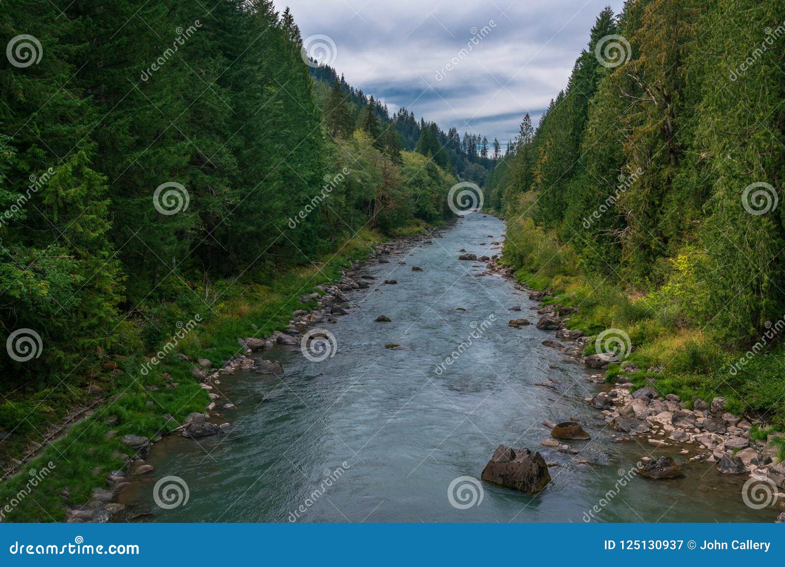 The Winding Cispus River stock image. Image of landscape - 125130937