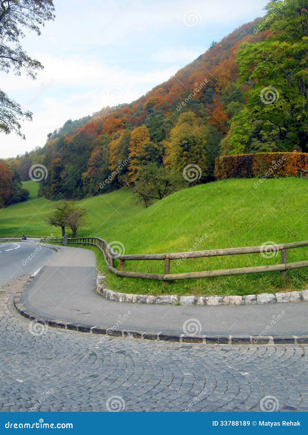 A Driveway Bends Through And Dense Green Forest Dirt Road Through A ...