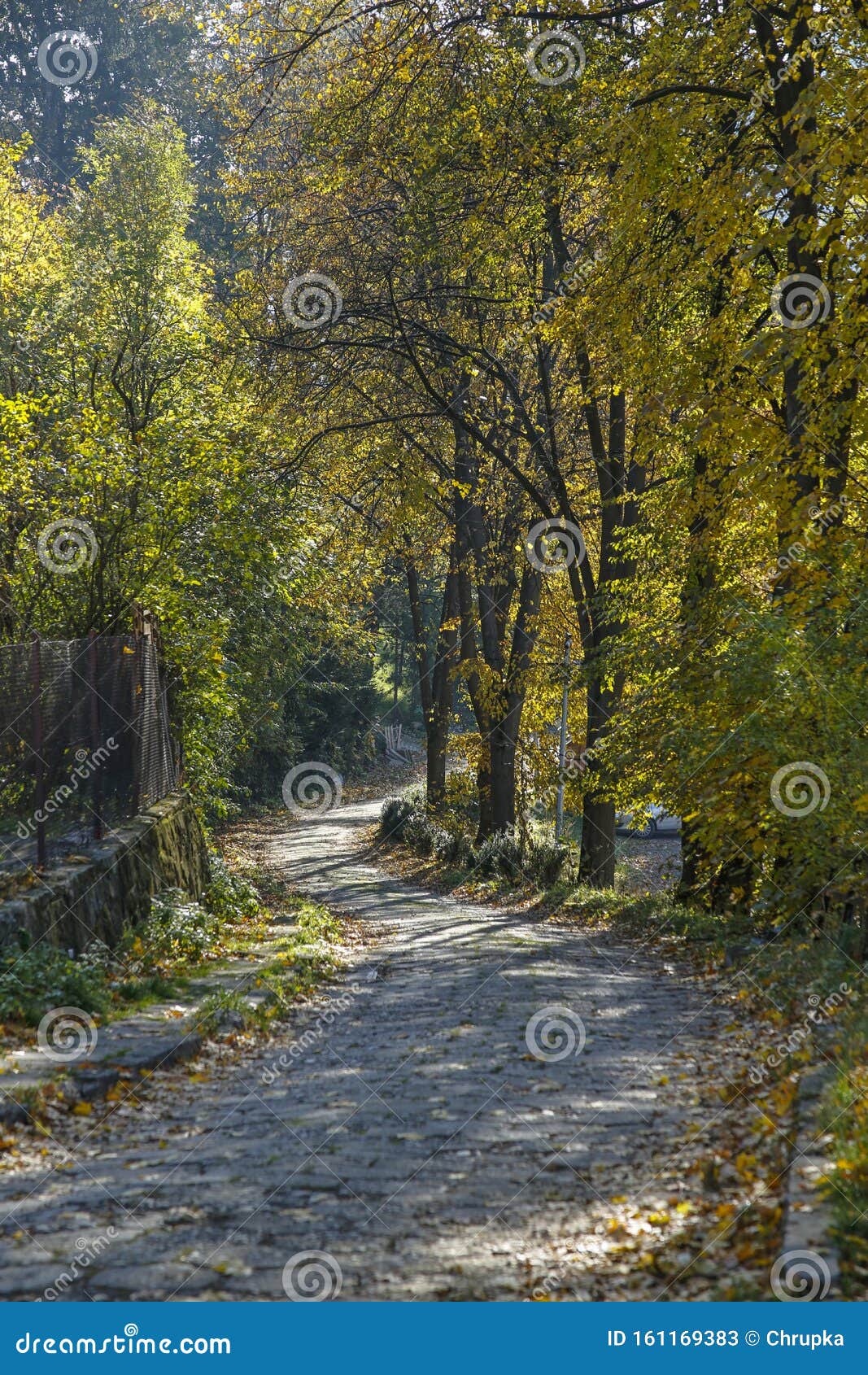 Winding Cobblestone Autumn Road Stock Image - Image of seasonal, autumn ...