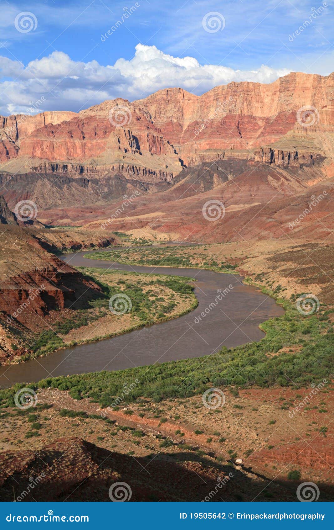 Winding Colorado River stock photo. Image of rock, colorado - 19505642