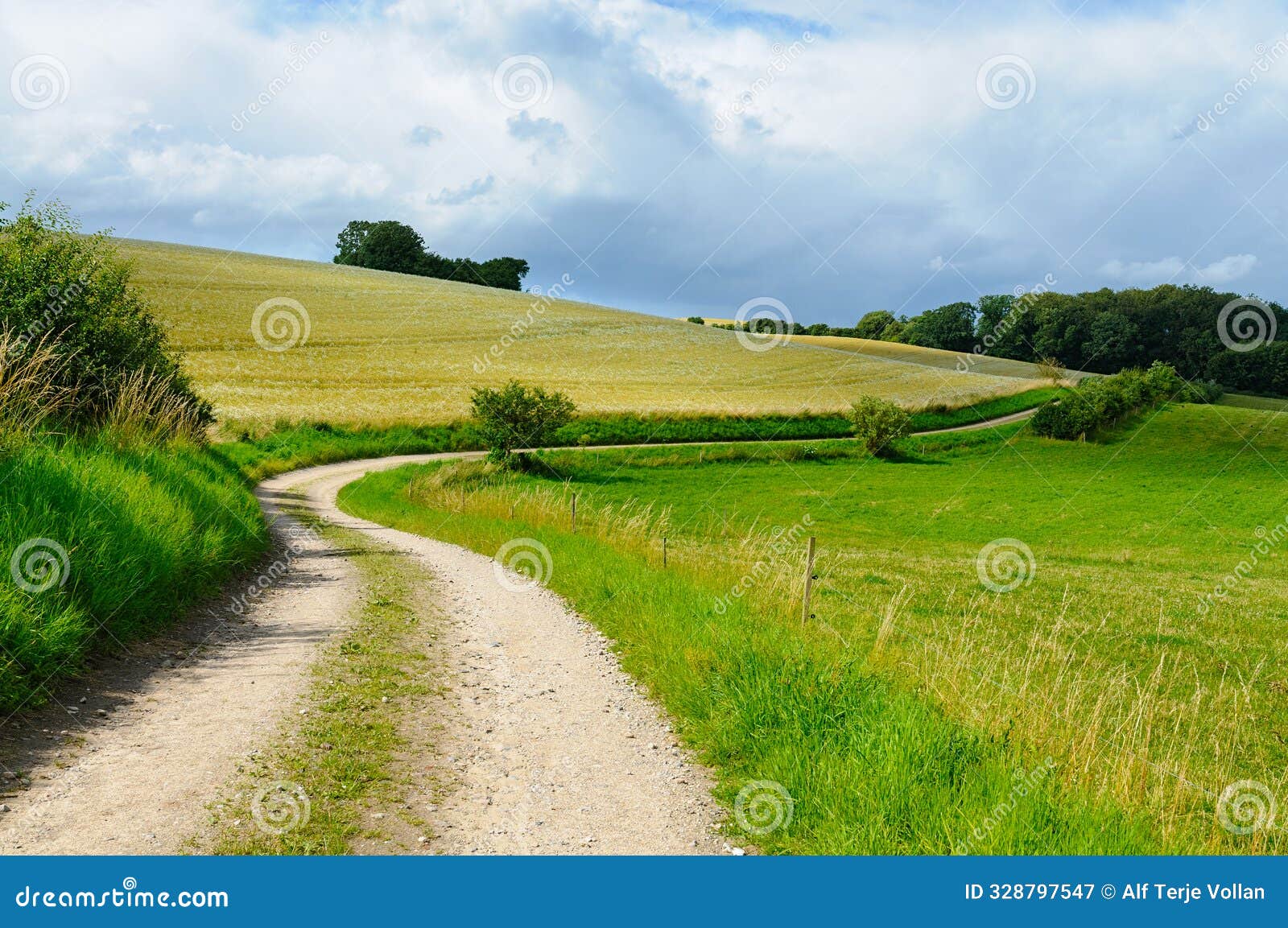 Winding Country Pathway through Lush Green Fields Under Bright Blue Sky ...