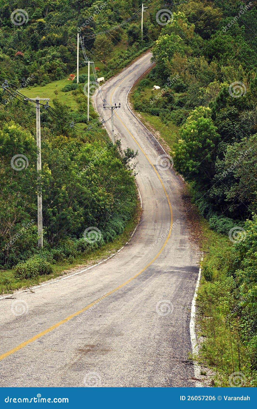 Winding Curved Rural Road To Mountain Stock Photo - Image of curve ...