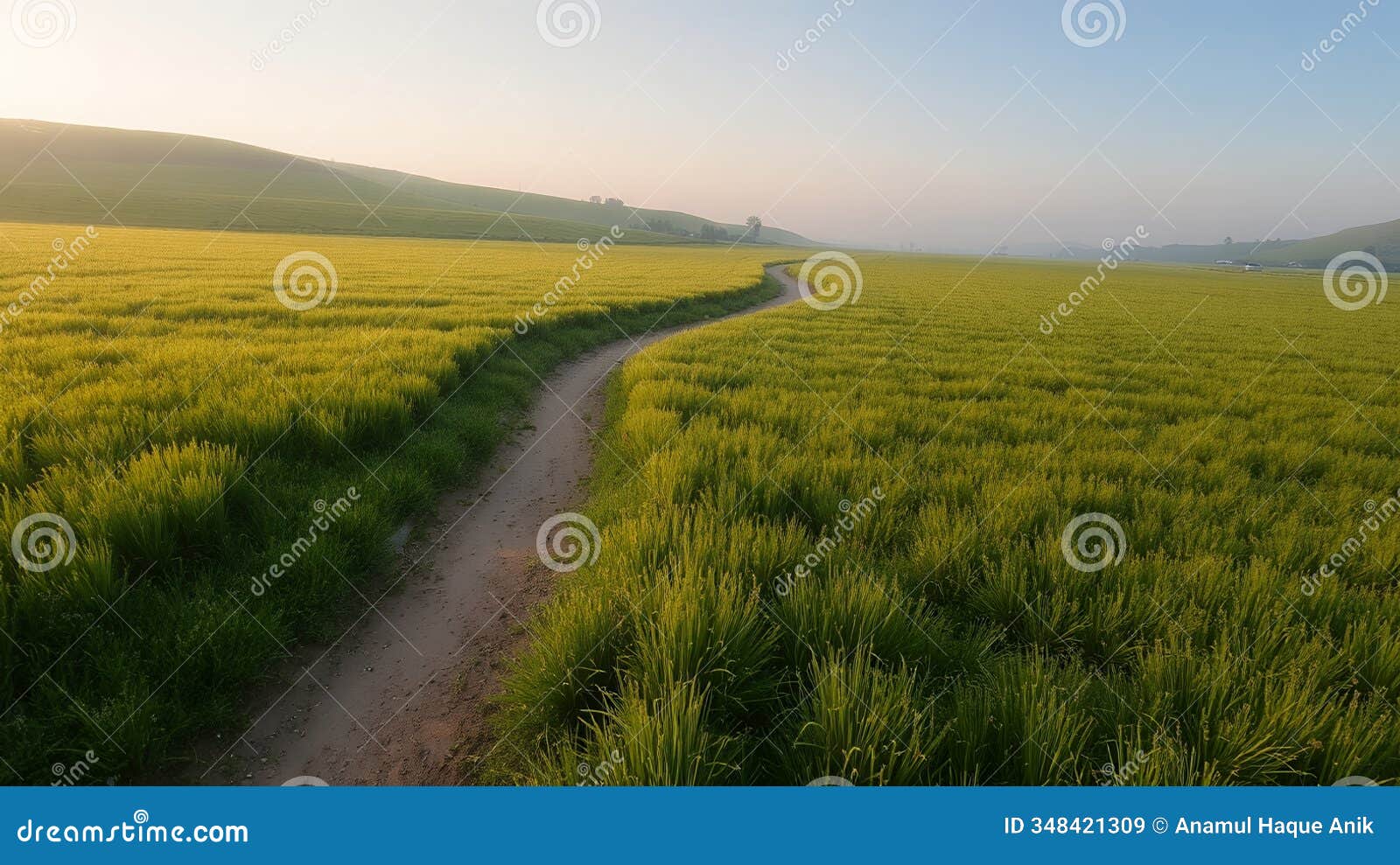 A Winding Dirt Path Cuts through a Vast Field of Green Grass Stock ...