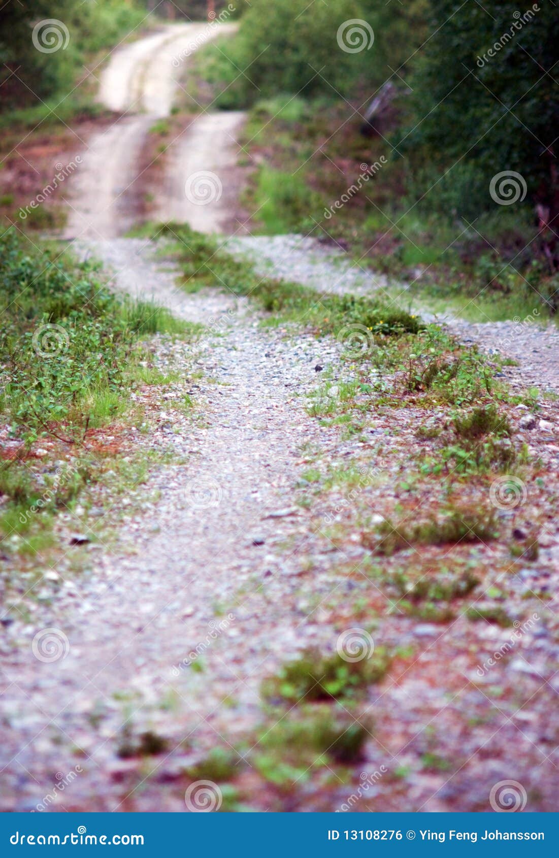 Winding dirt road stock photo. Image of view, fall, mountain - 13108276