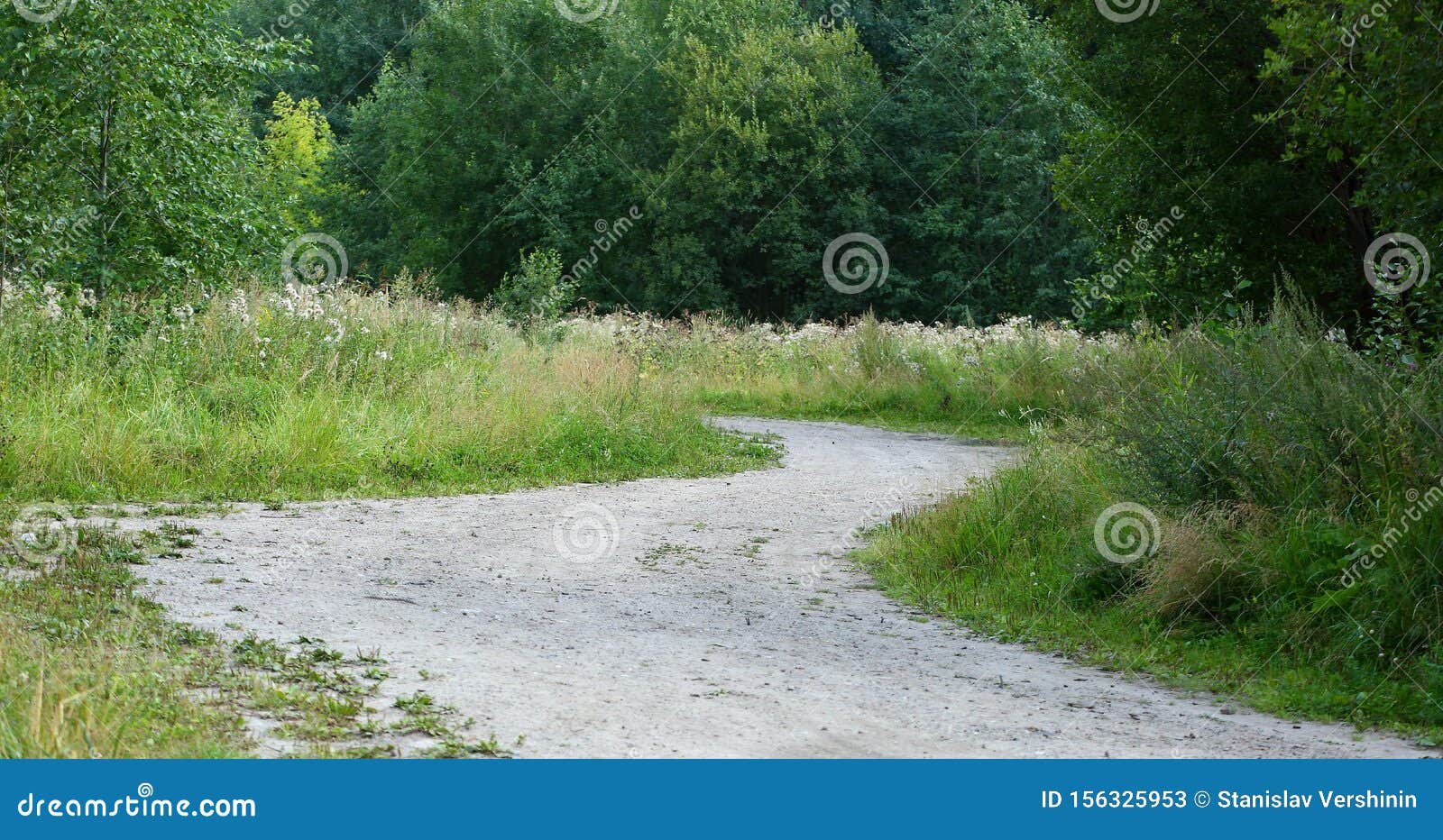 Winding Dirt Road in the Countryside Stock Image - Image of earth ...