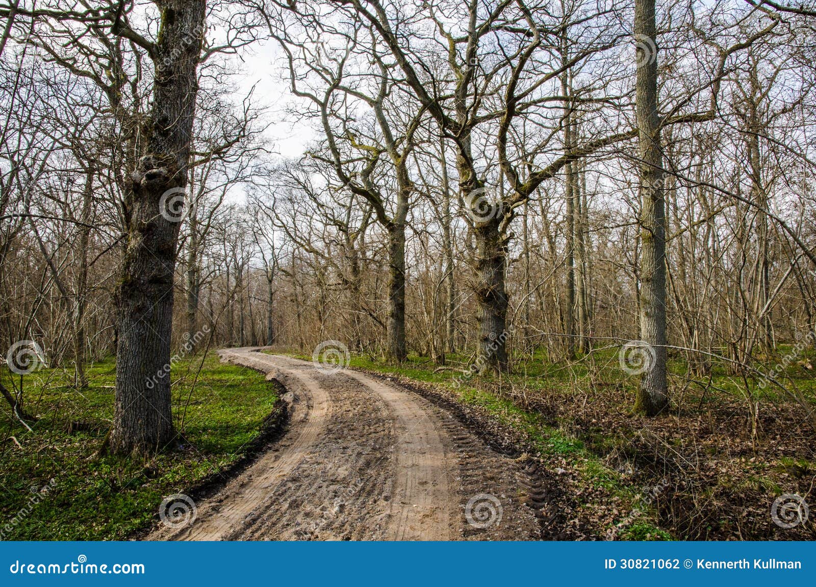 Winding dirt road stock photo. Image of spring, landscape - 30821062