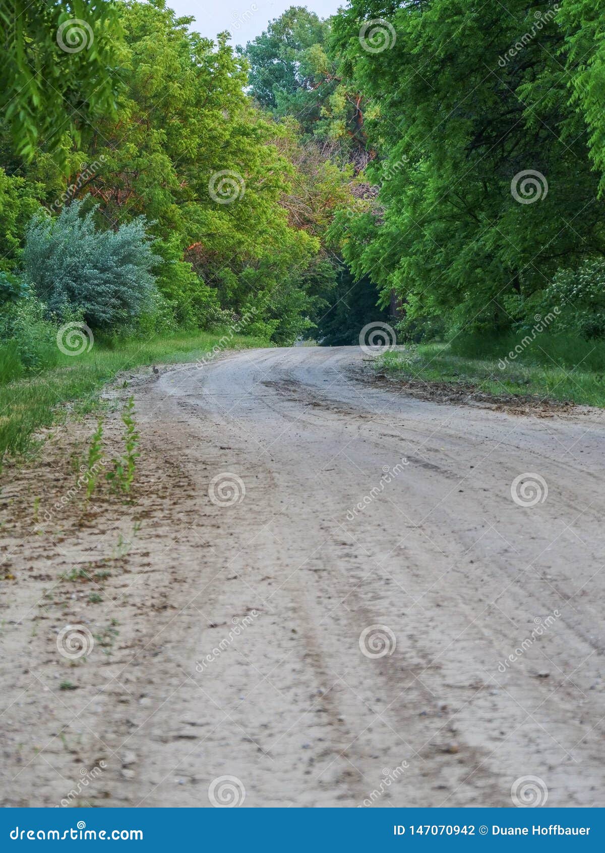Winding Dirt Road stock photo. Image of road, dirt, winding - 147070942