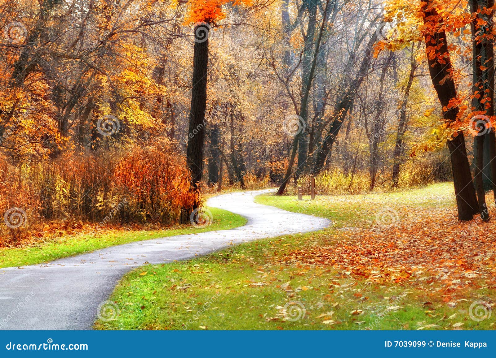 Winding Fall Walkway stock image. Image of crisp, seasonal - 7039099
