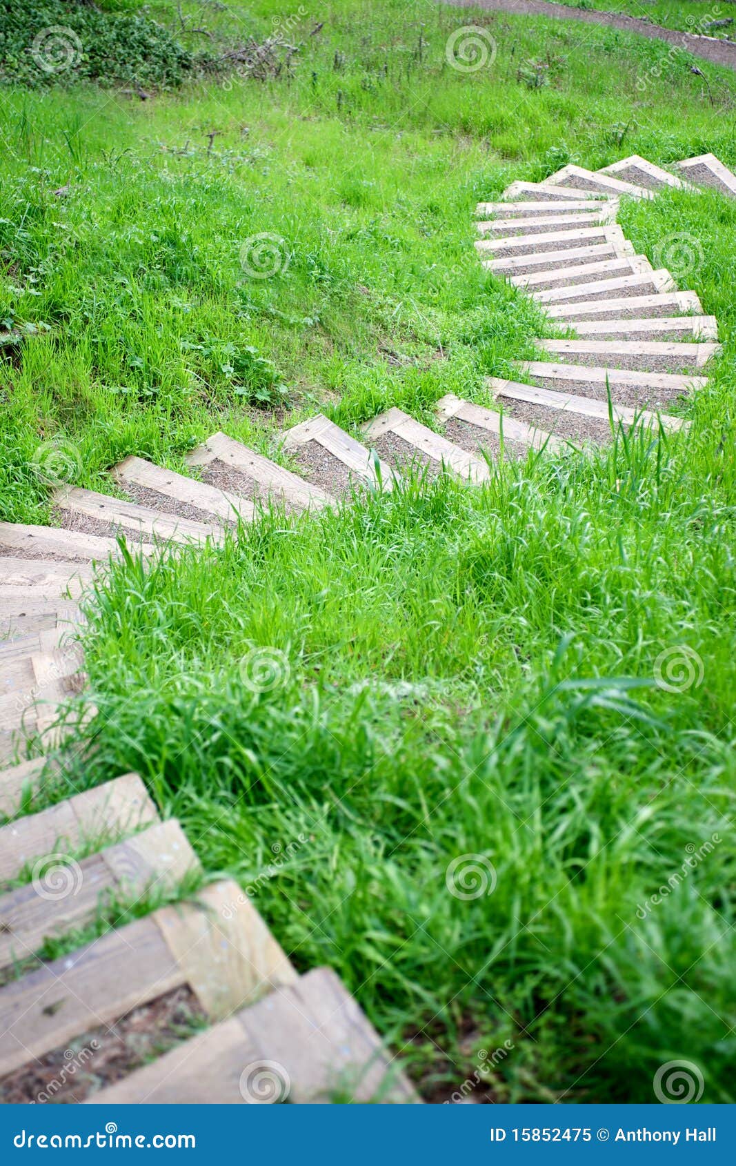 Winding Footpath Downhill stock image. Image of hillside - 15852475