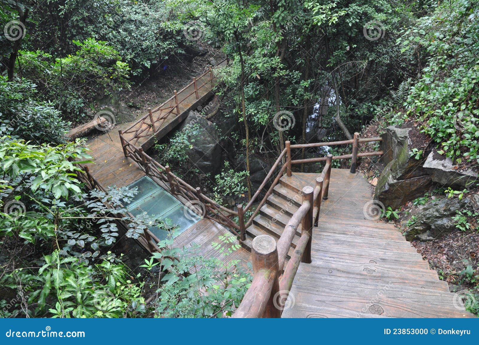 Winding Footpath in Mountain Stock Photo - Image of summer, creek: 23853000