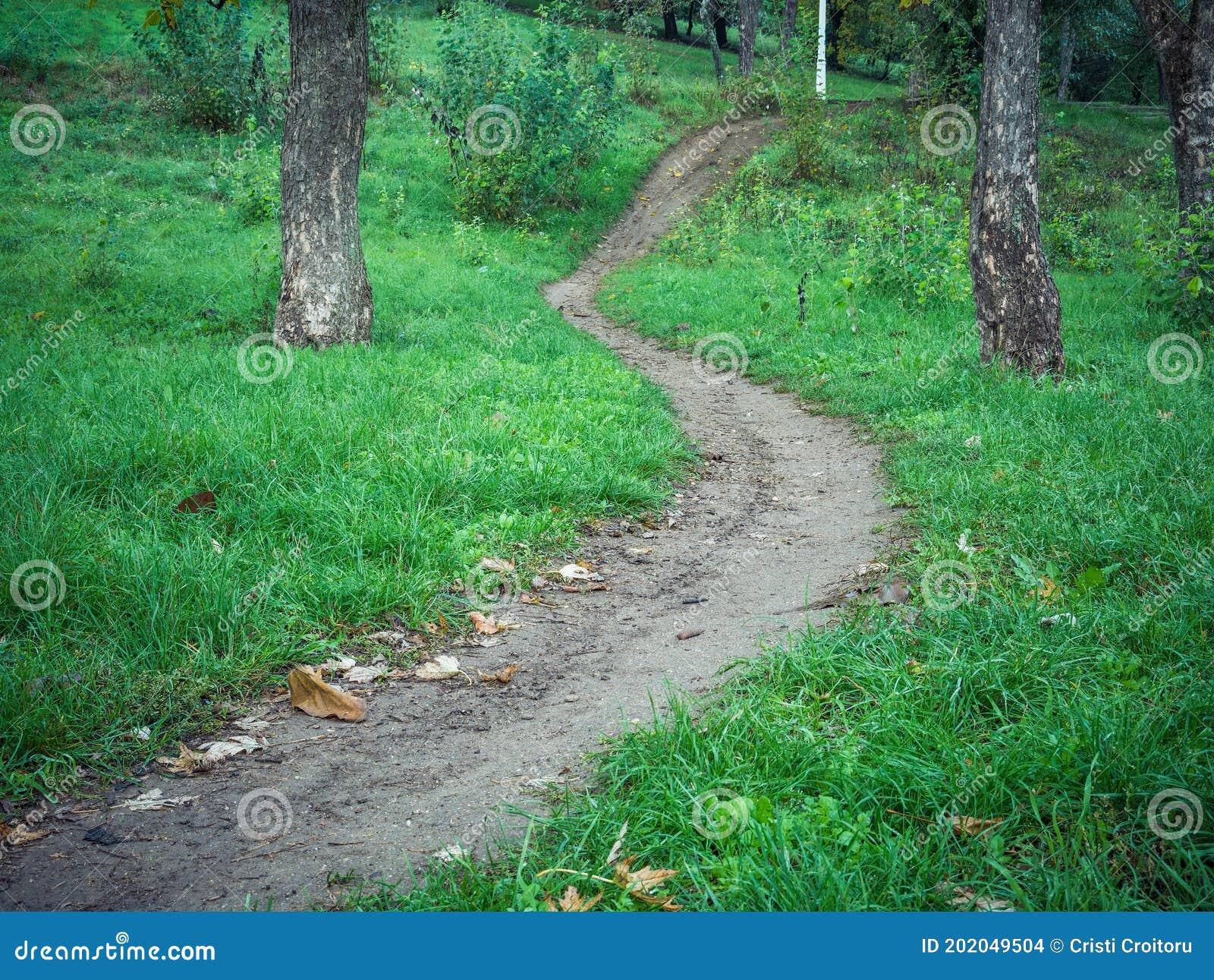 Winding Footpath or Pathway between the Trees in Nature Stock Photo ...