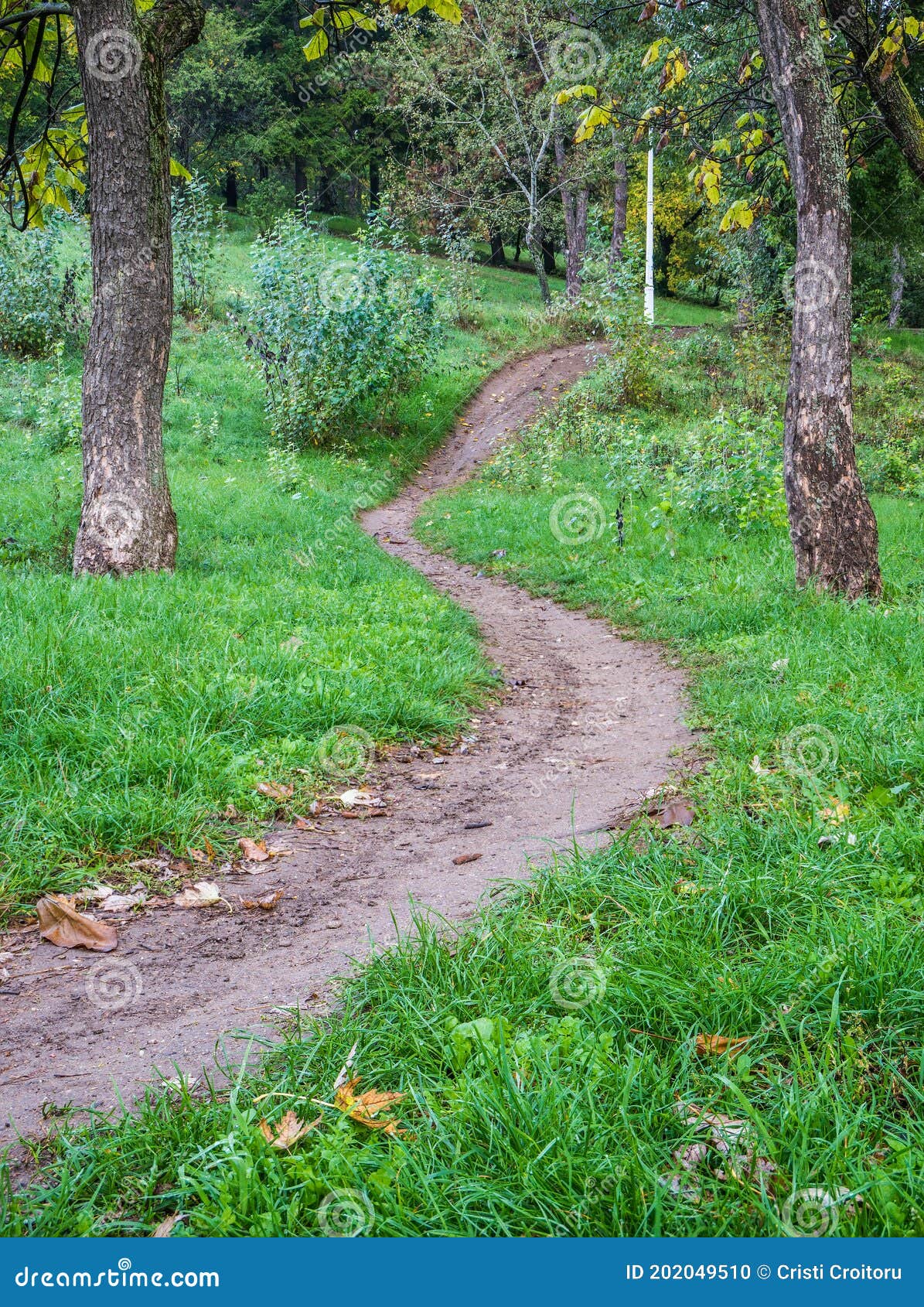 Winding Footpath or Pathway between the Trees in Nature Stock Photo ...