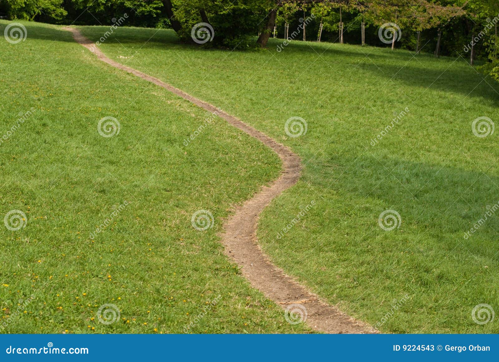 Winding Footpath on a Sunny Meadow Stock Image - Image of open, field ...