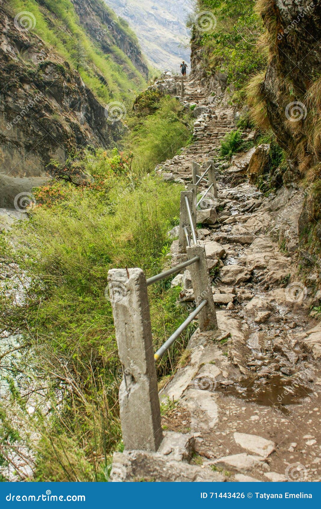 Winding Footpath on the Trekking Way at Himalaya Stock Photo - Image of ...