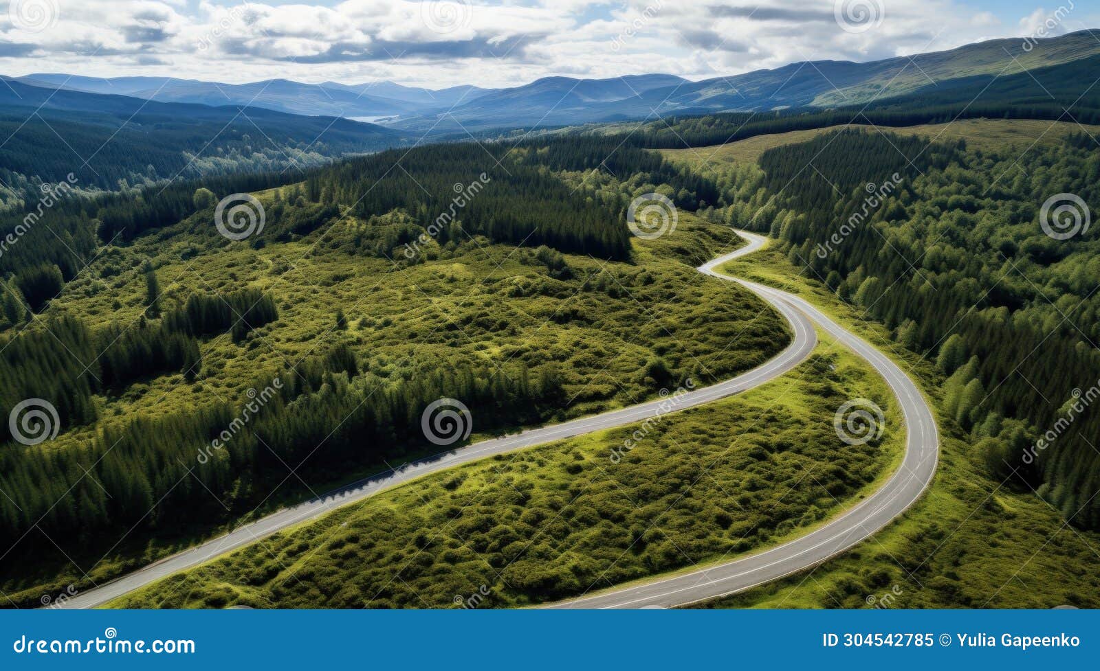 A Winding Forest Road in the Middle of a Forest. Stock Illustration ...