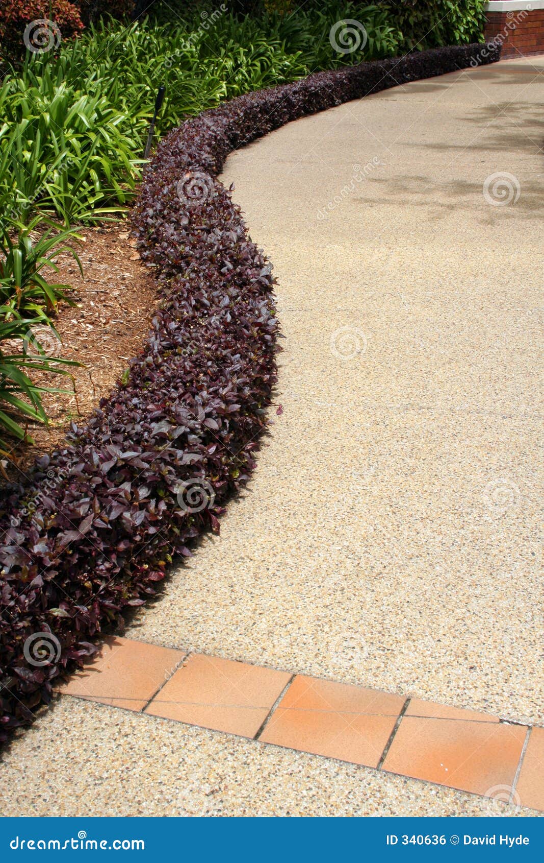 Winding Garden Path With Chinese Style Lanterns On Pillars Leading To ...