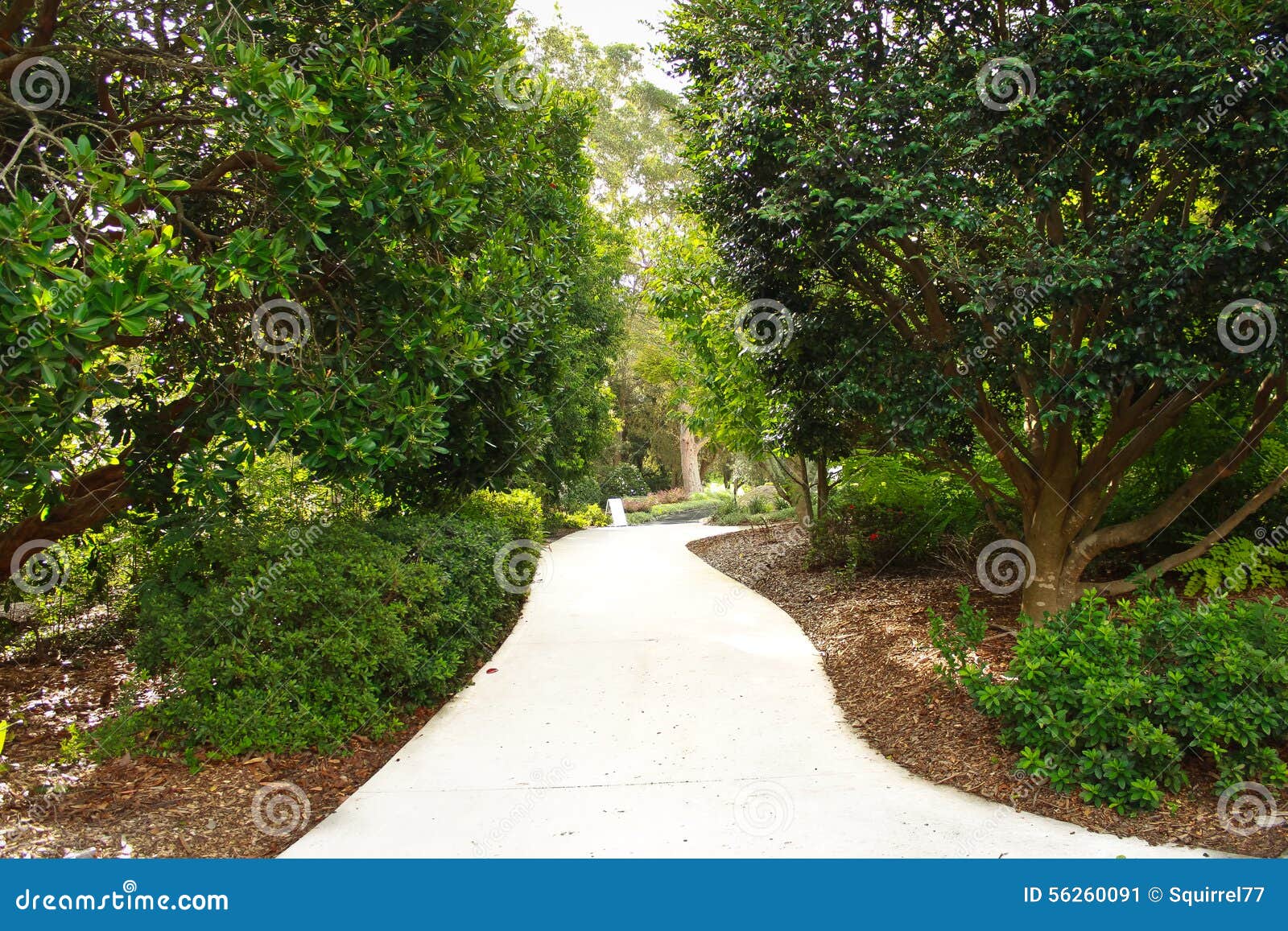 Pathway Between Trees Royalty-Free Stock Photo | CartoonDealer.com ...