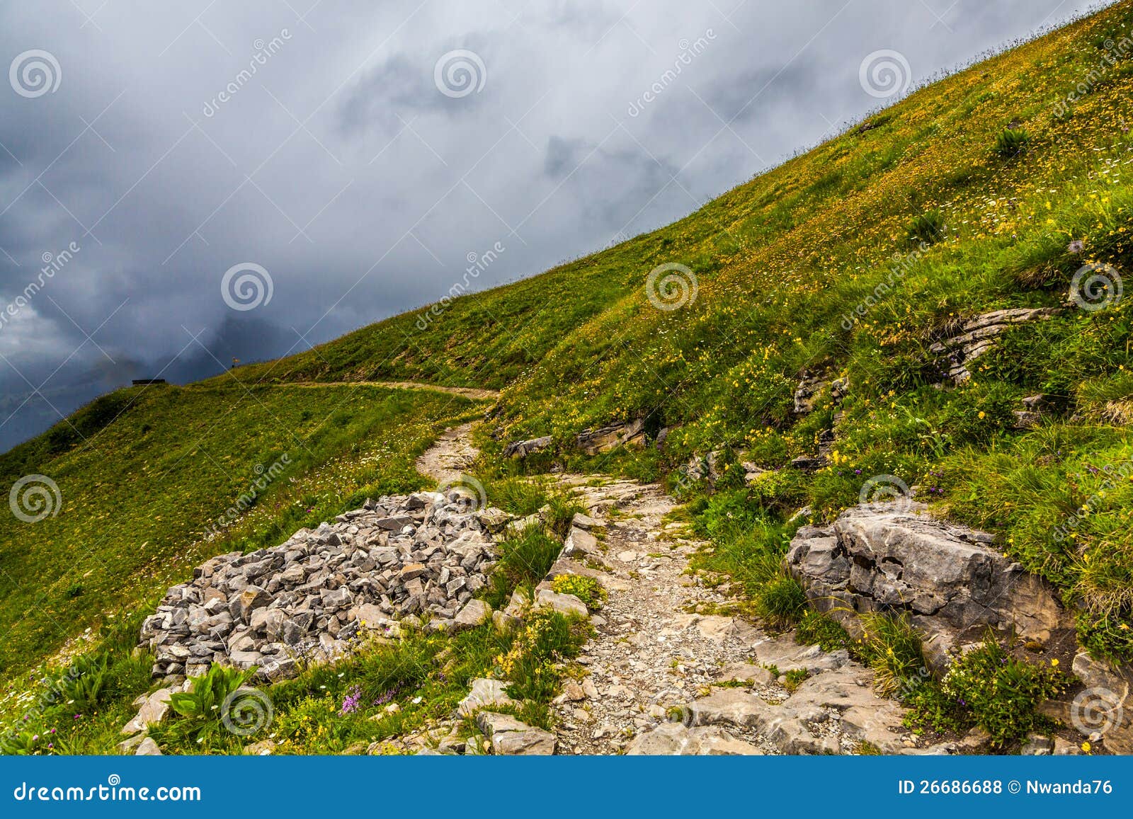 Winding Hiking Path stock photo. Image of mountain, jungfrau - 26686688